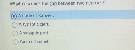 Solved What describes the gap between two neurons?A node of | Chegg.com