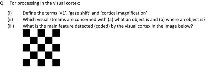 Solved For processing in the visual cortex: (i) Define the | Chegg.com