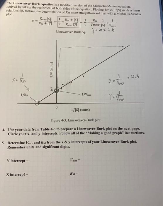 Solved The Lineweaver-Burk equation is a modified version of | Chegg.com
