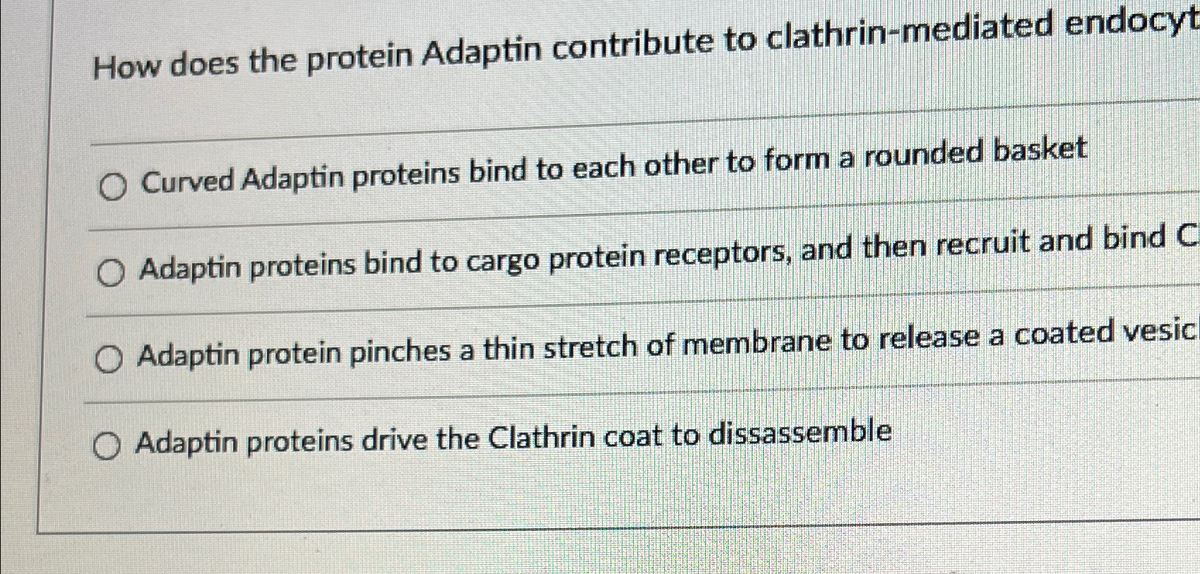 Solved How does the protein Adaptin contribute to | Chegg.com