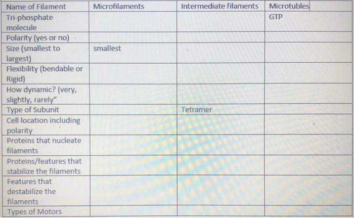 Solved Microfilaments Intermediate filaments Microtubles GTP | Chegg.com