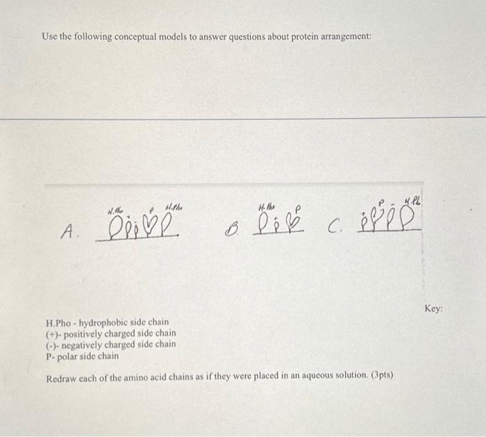 Solved Use the following conceptual models to answer | Chegg.com