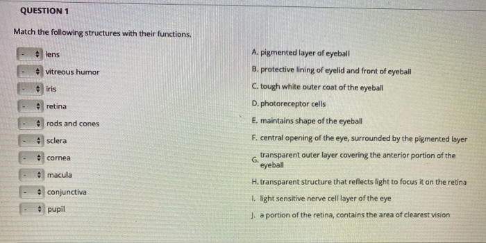 Solved QUESTION 1 Match the following structures with their | Chegg.com