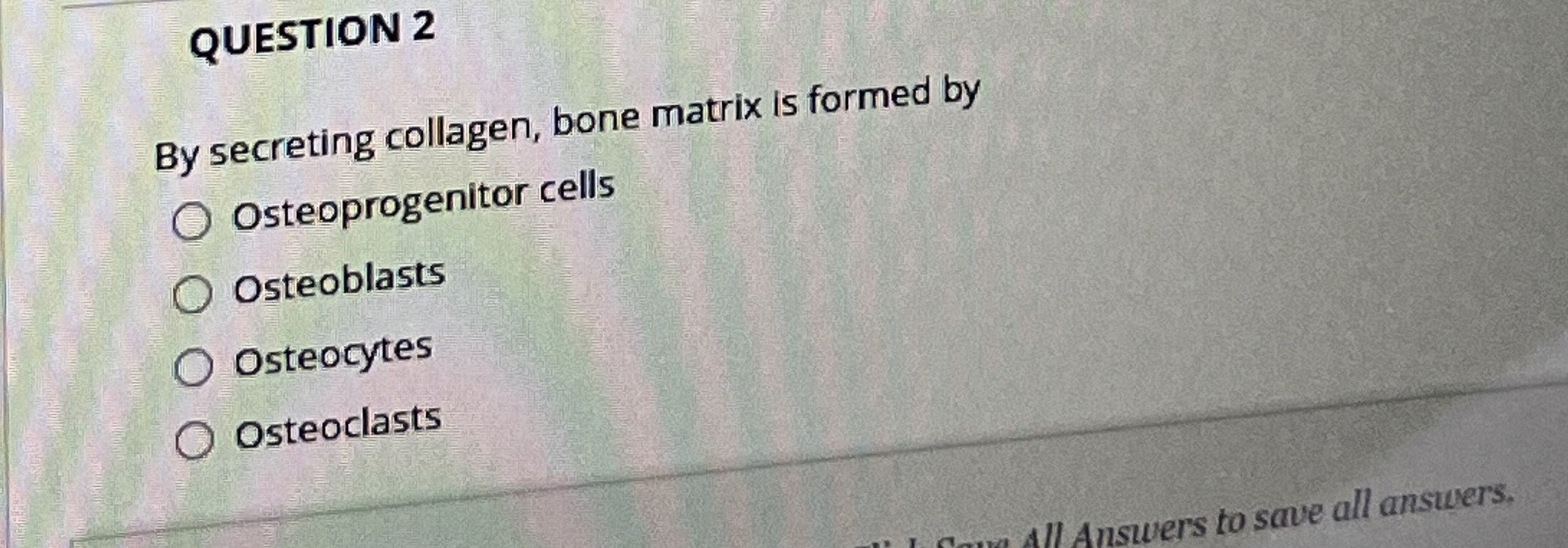 Solved QUESTION 2By secreting collagen, bone matrix is | Chegg.com