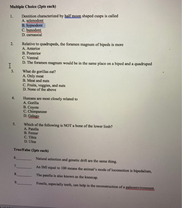 Solved Multiple Choice (2pts each) 1. Dentition | Chegg.com