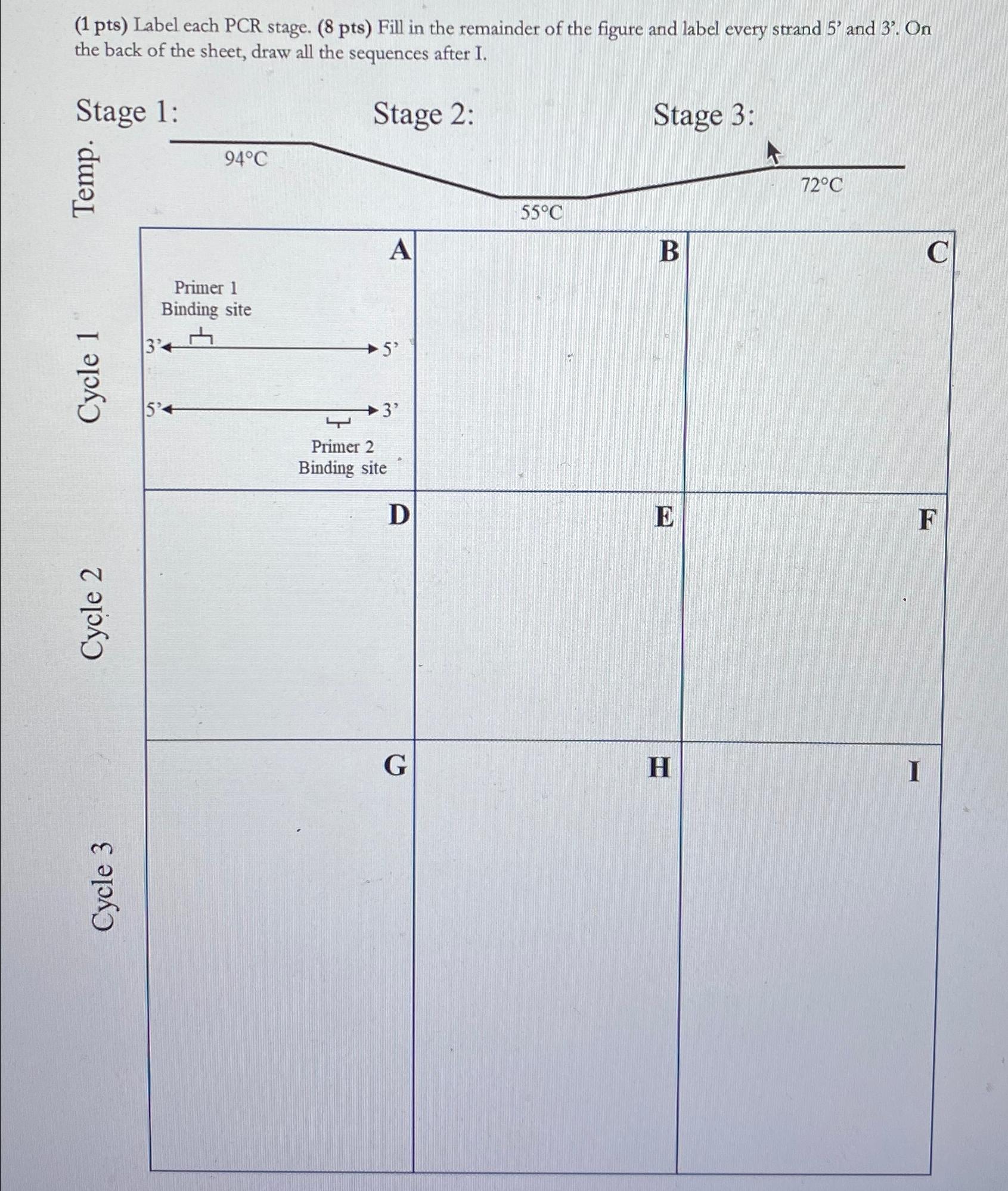 Solved (1 ﻿pts) ﻿Label each PCR stage. (8 ﻿pts) ﻿Fill in the | Chegg.com
