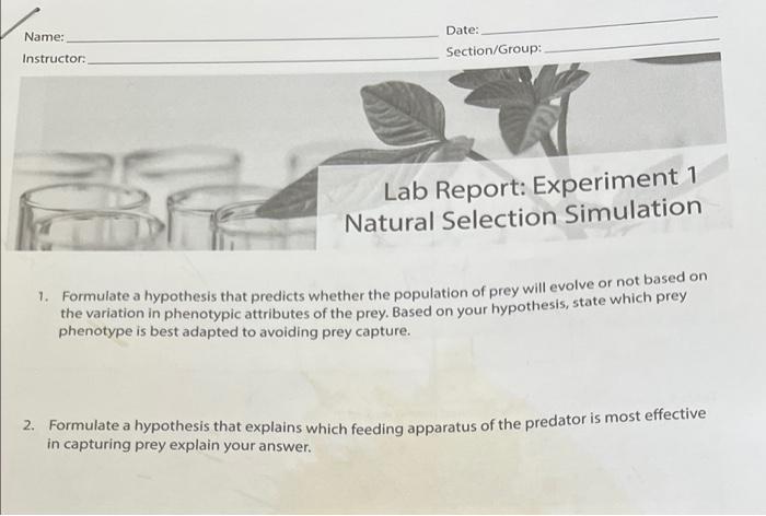 Solved Name: Instructor Date: Section/Group: Lab Report: | Chegg.com