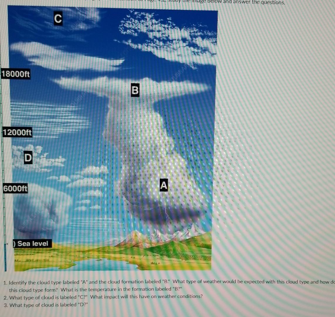 Solved 1. Identify the cloud type labeled "A" and the cloud | Chegg.com