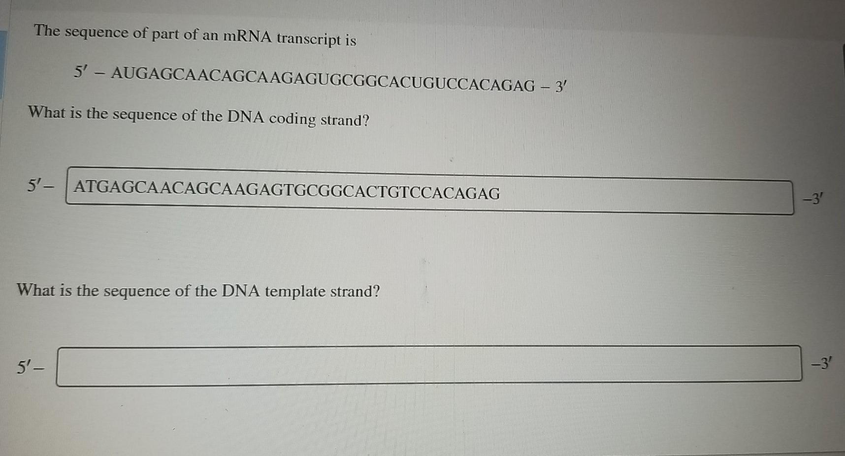 Solved The sequence of part of an mRNA transcript is 5 - | Chegg.com