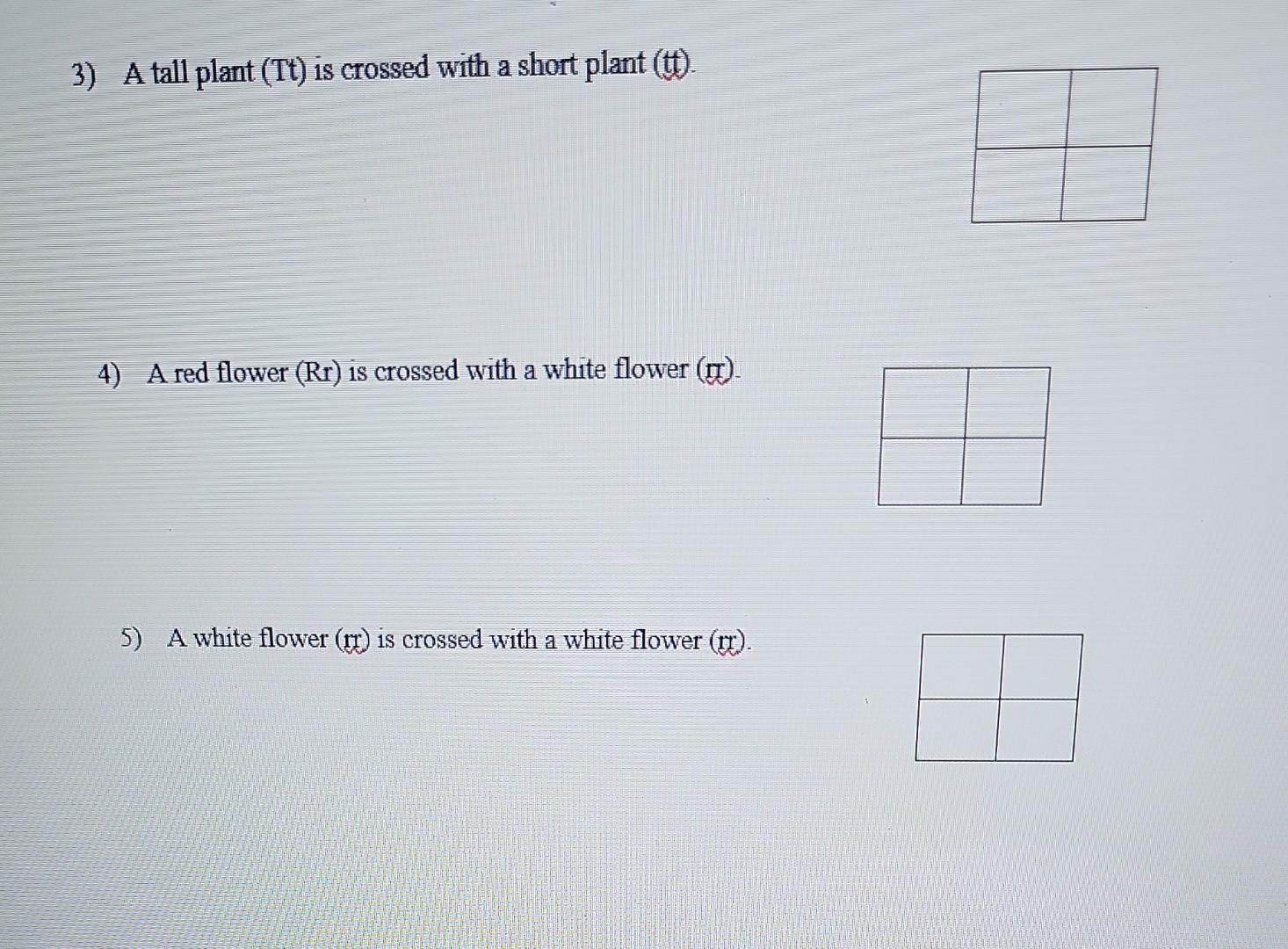 Solved Genetic Problems Lab Complete the following | Chegg.com