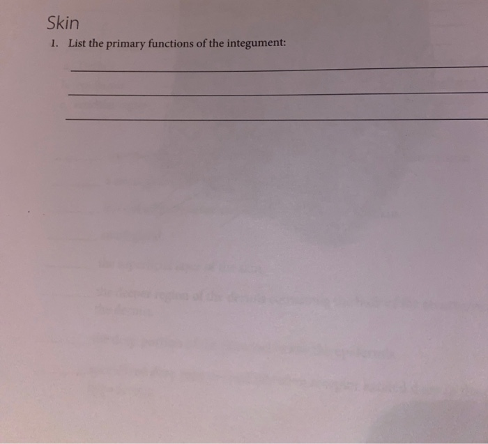 Solved Skin 1. List the primary functions of the integument: | Chegg.com
