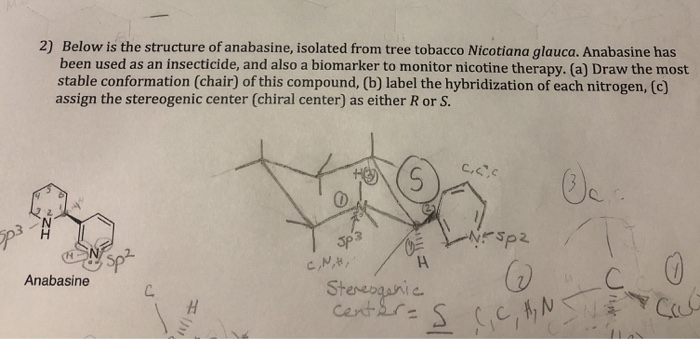 Solved 2) Below is the structure of anabasine, isolated from | Chegg.com