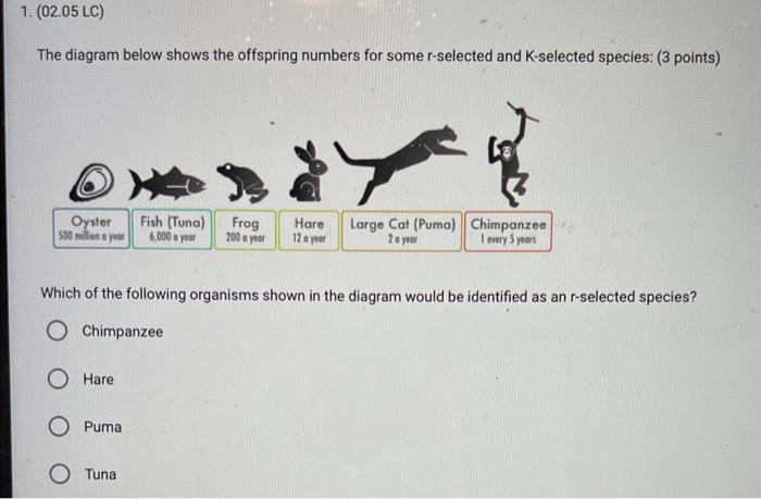 Solved The diagram below shows the offspring numbers for | Chegg.com
