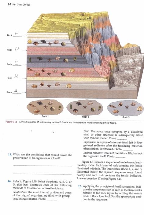 Solved Cast: The space once occupied by a dissolved shell of | Chegg.com