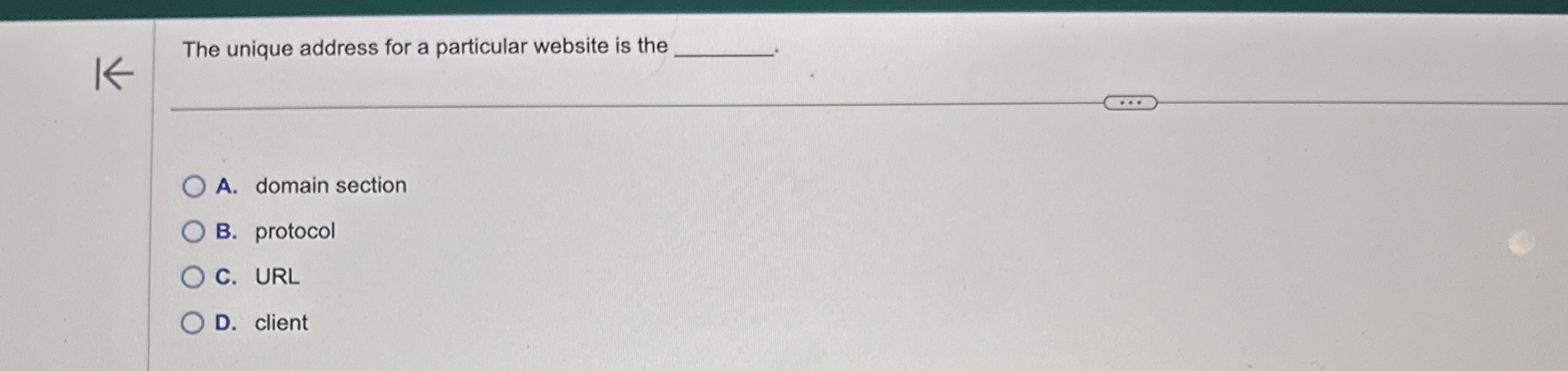 Solved The unique address for a particular website is theA. | Chegg.com