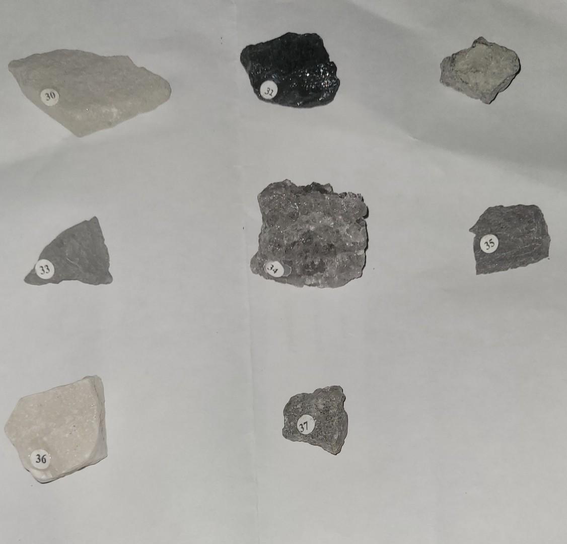 Solved 2.6 Identifying Sedimentary Rocks Use an | Chegg.com