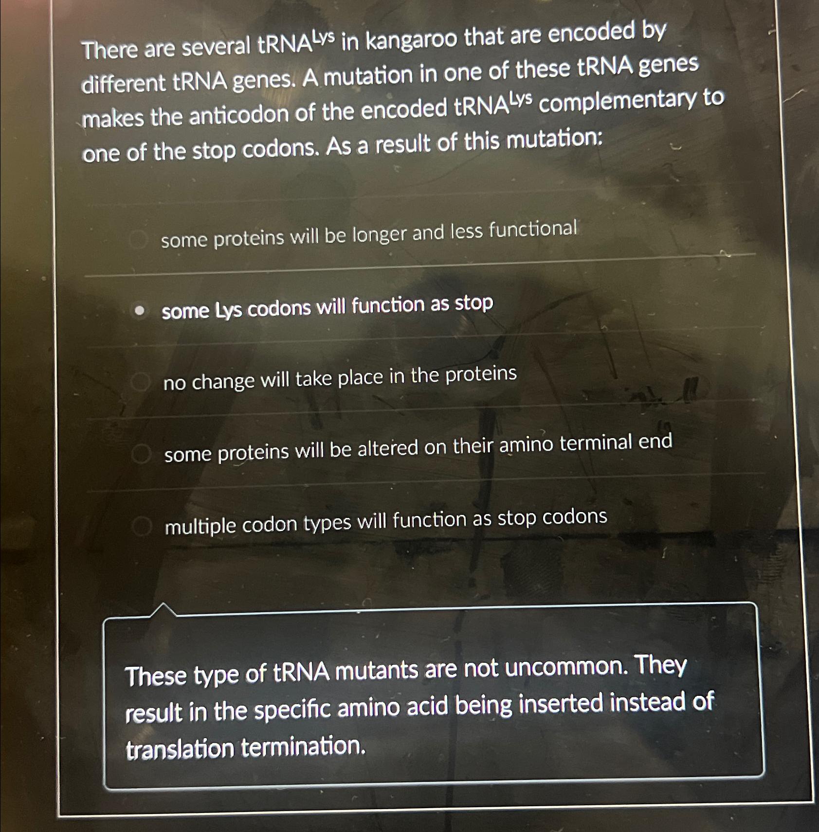 Solved There are several tRNAL ?lys ﻿in kangaroo that are | Chegg.com