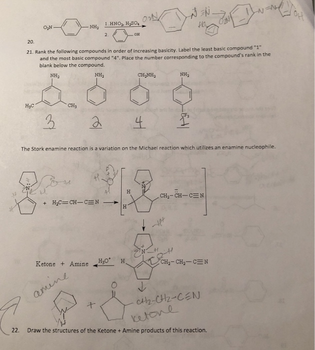 Solved ON CN 1. HNO2, H2SO4 ON NH VO 2 OH 20. 21. Rank the | Chegg.com