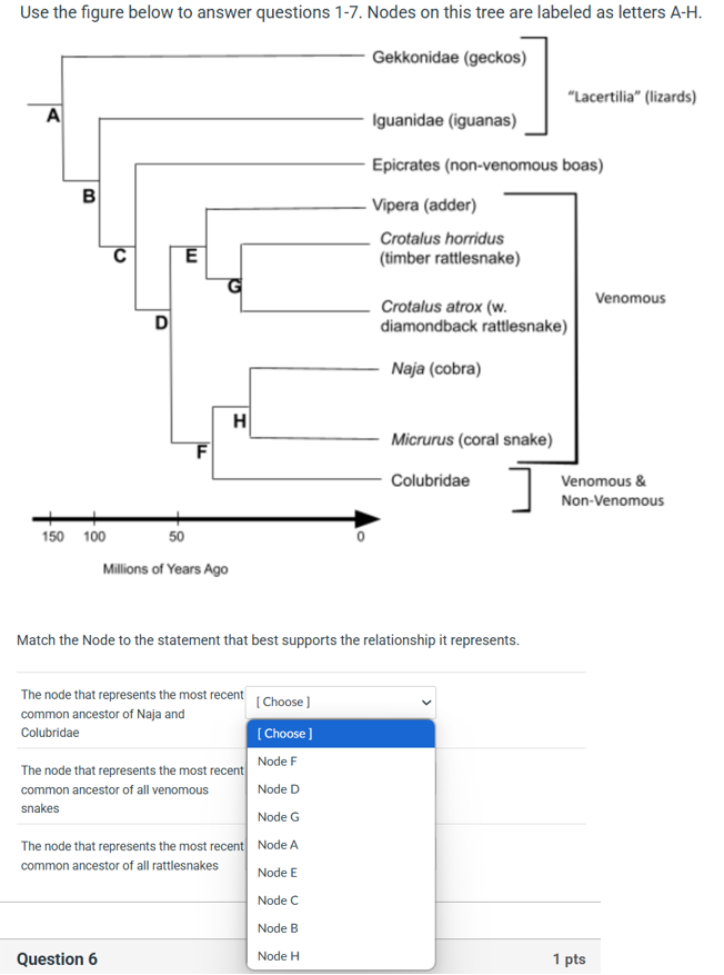 Solved Nodes on this tree are labeled as letters A-H.Match | Chegg.com