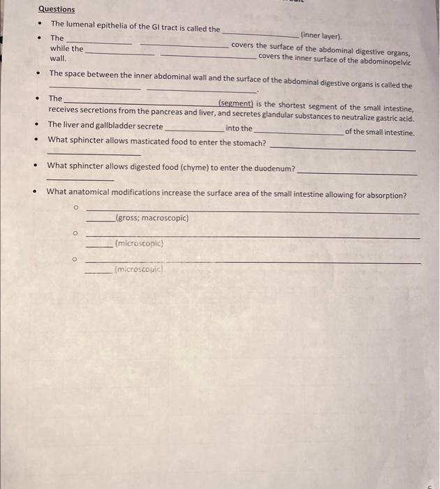 Solved Questions - The lumenal epithelia of the Gl tract is | Chegg.com