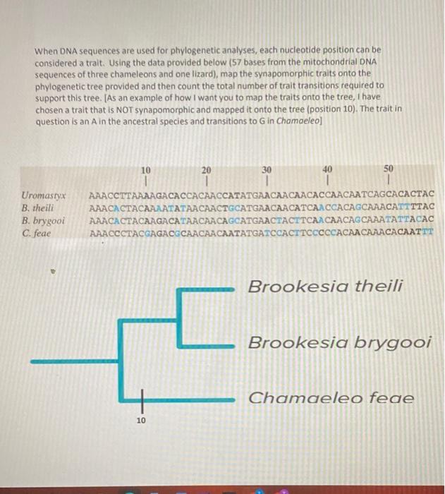 Solved When DNA sequences are used for phylogenetic | Chegg.com