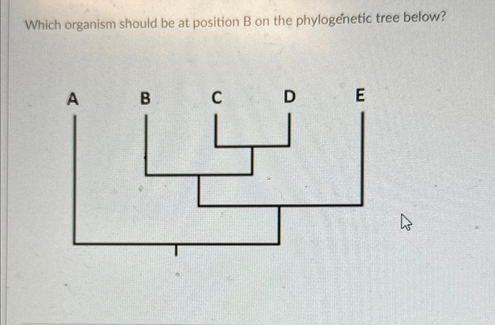 Solved Which organism should be at position B on the | Chegg.com