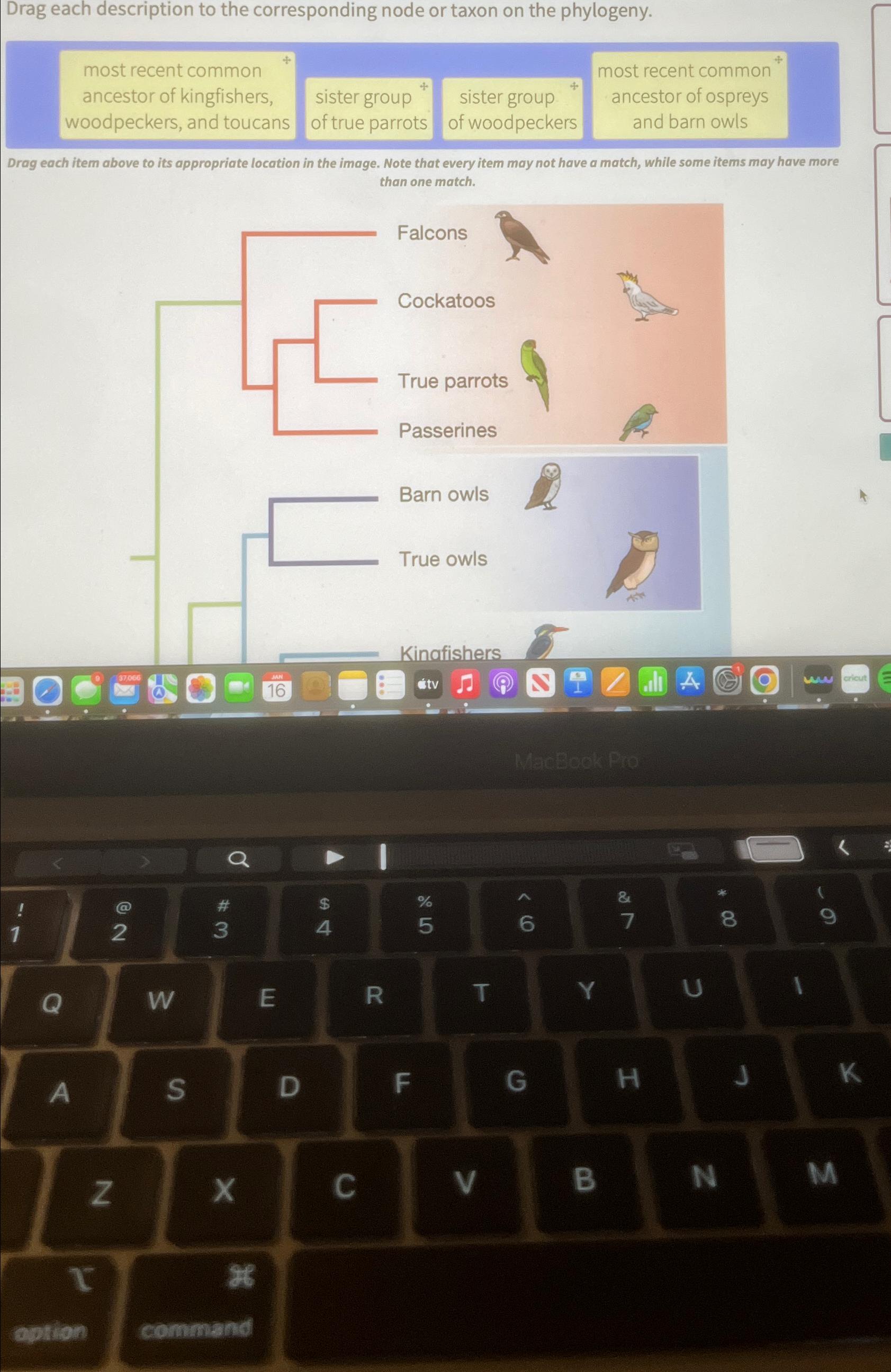 Solved drag each description to the cprresponding node ot | Chegg.com