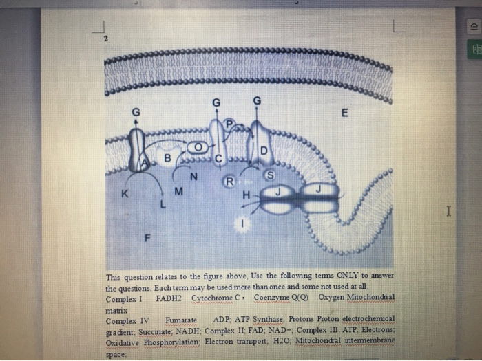 Solved N. L. This question relates to the figure above, Use | Chegg.com