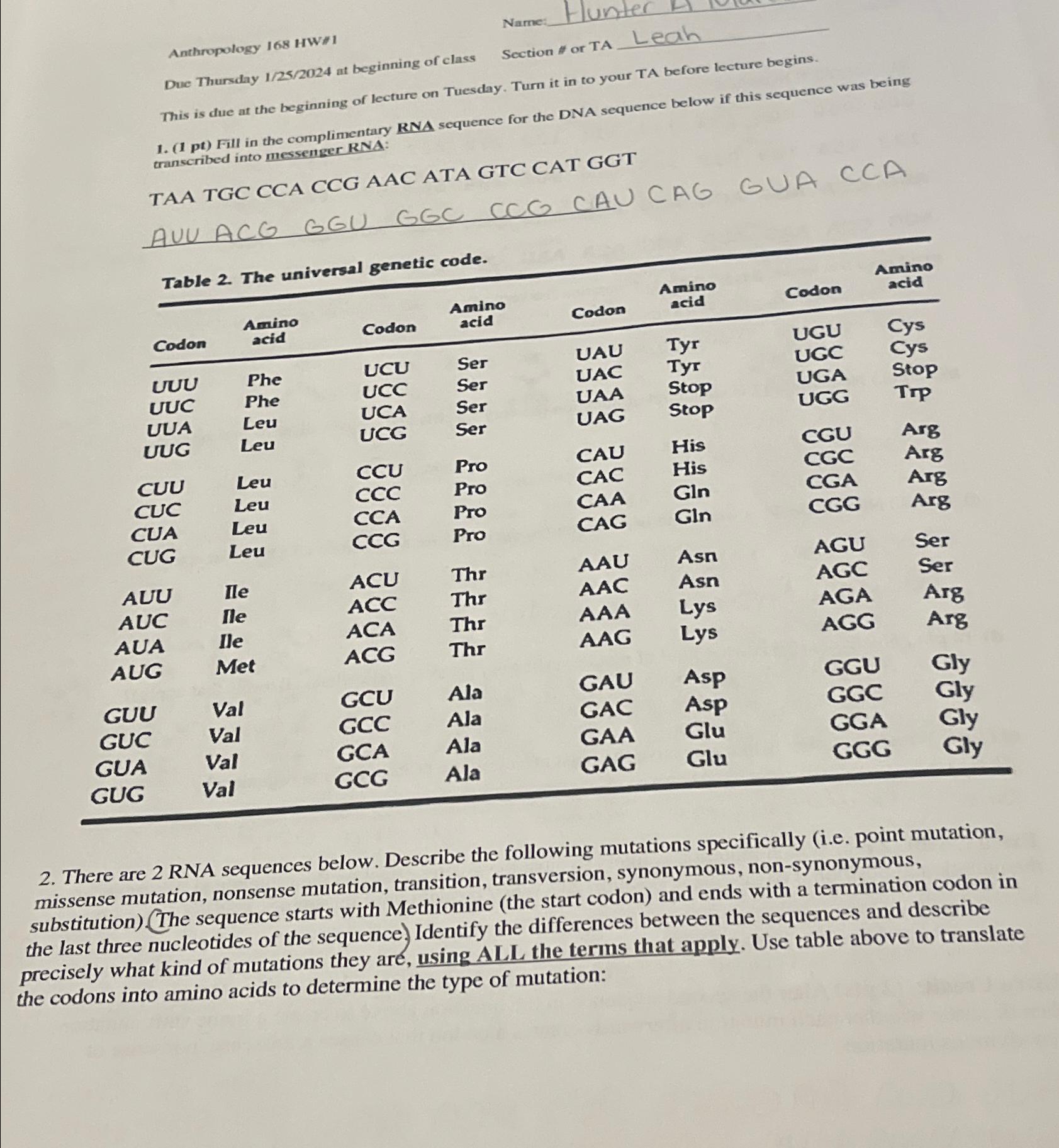 Solved There are 2 ﻿RNA sequences below. Describe the | Chegg.com