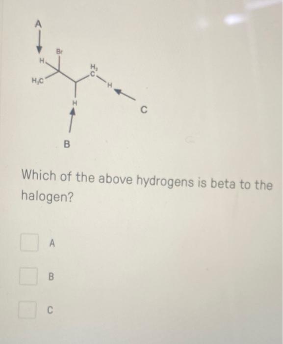 Solved Which of the above hydrogens is beta to the halogen? | Chegg.com