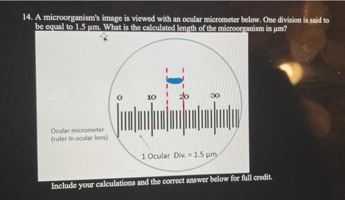Solved 3.1 stage micrometer has a division =10μm. If one | Chegg.com