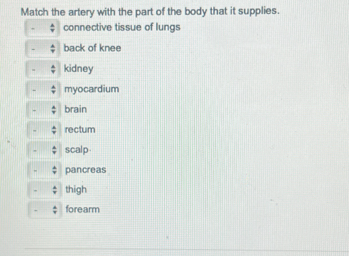 Solved Match the artery with the part of the body that it | Chegg.com