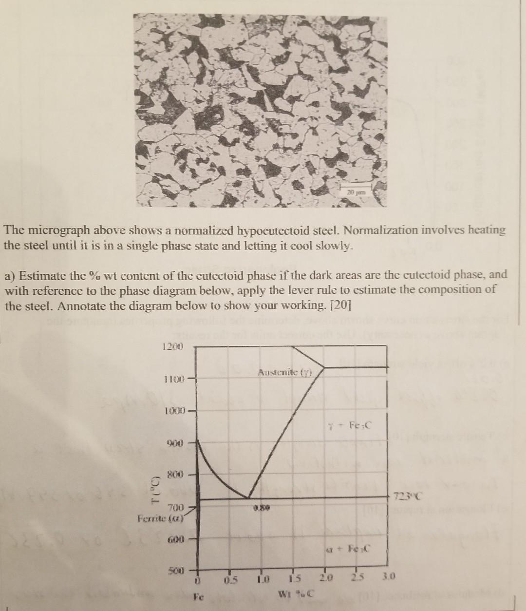 Solved The micrograph above shows a normalized hypoeutectoid | Chegg.com