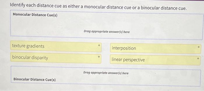 Solved Identify each distance cue as either a monocular | Chegg.com