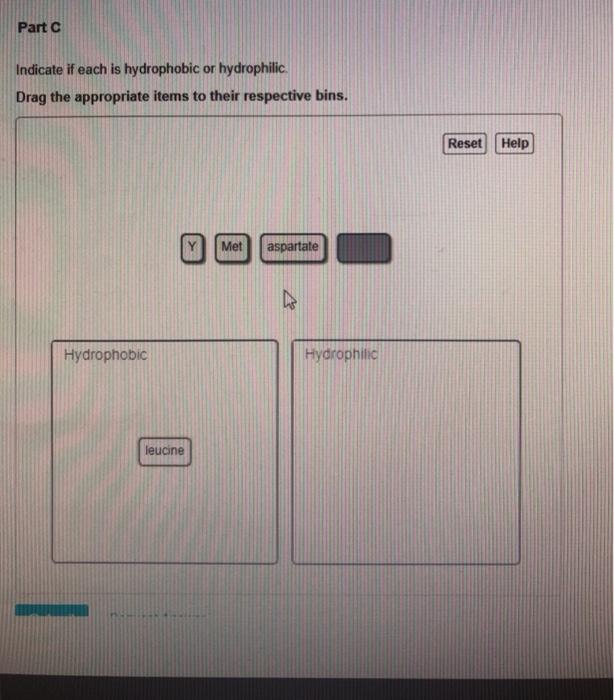 Solved Part C Indicate if each is hydrophobic or hydrophilic | Chegg.com