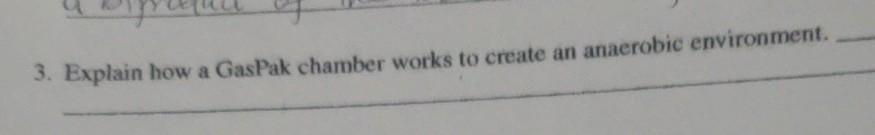 Solved 3. Explain how a GasPak chamber works to create an | Chegg.com