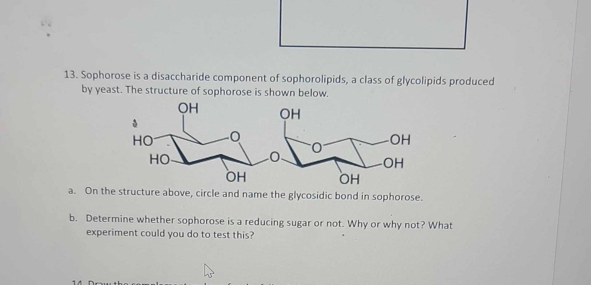 Solved 13. Sophorose is a disaccharide component of | Chegg.com