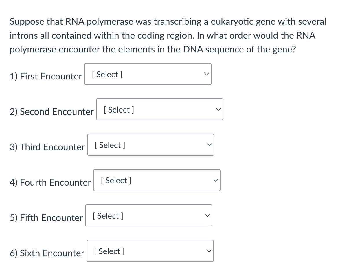 Solved Suppose that RNA polymerase was transcribing a | Chegg.com