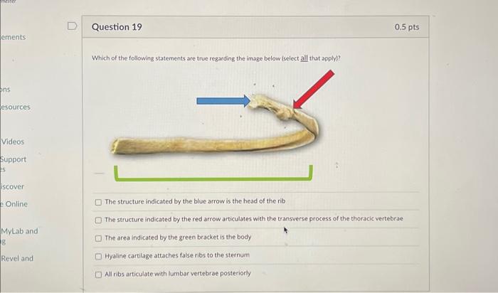 Solved Which of the following statement are true regarding | Chegg.com