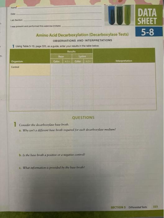 Name Date Lab Section DATA SHEET 5-8 I was present | Chegg.com