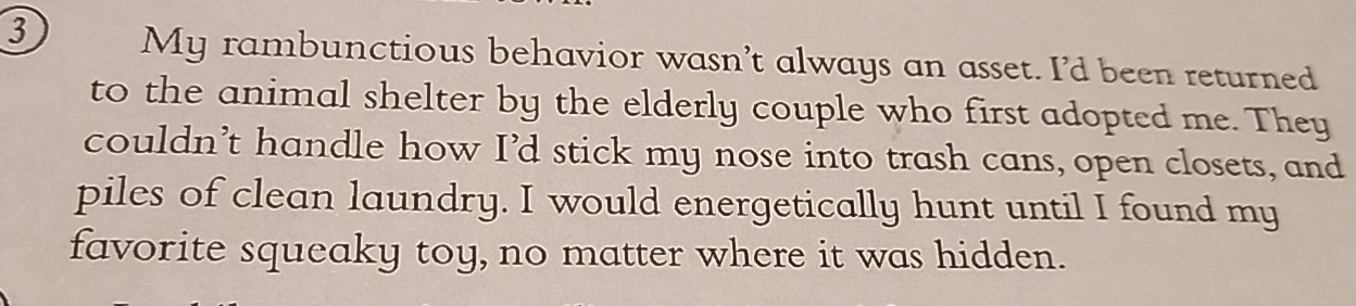 What is the meaning of the word "rambunctious" in | Chegg.com