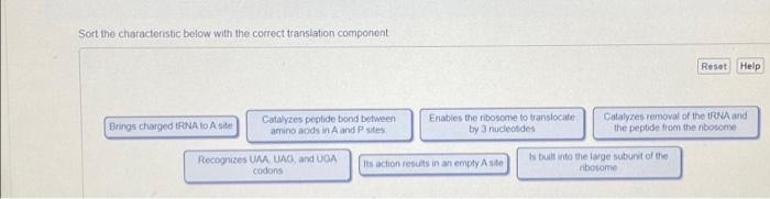 Solved Sort the characteristic below with the correct | Chegg.com