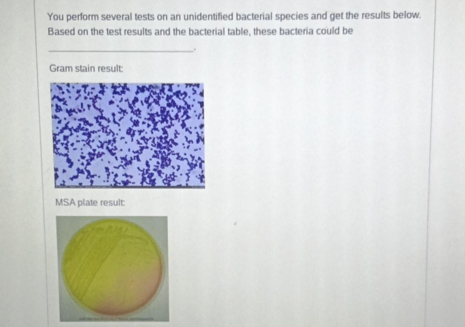 Solved You perform several tests on an unidentified | Chegg.com
