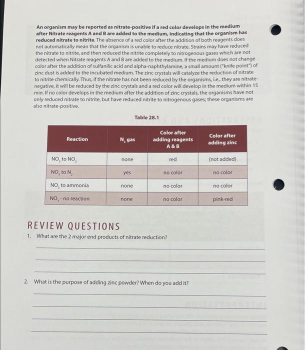 Solved Student Name: Date EXPERIMENT 28 LAB REPORT | Chegg.com