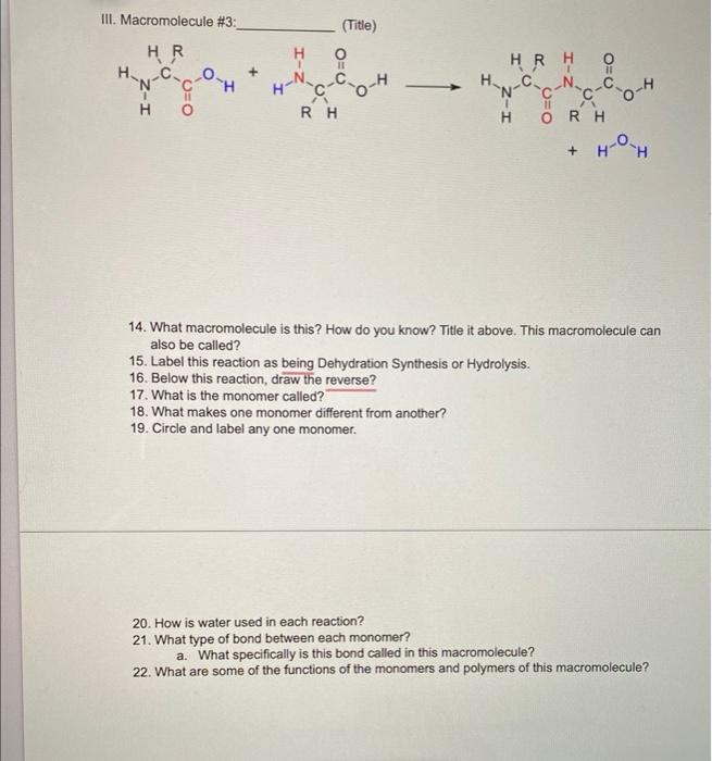 Solved III. Macromolecule #3: (Title) 14. What macromolecule | Chegg.com