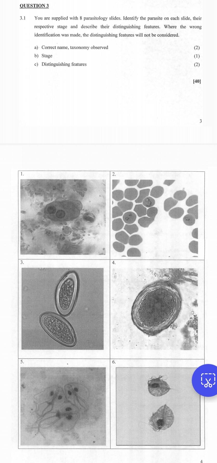 Solved 3.1 You are supplied with 8 parasitology slides. | Chegg.com