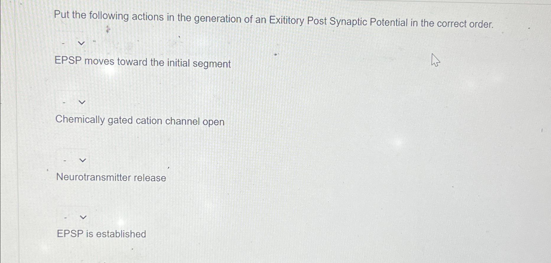 Solved Put the following actions in the generation of an | Chegg.com