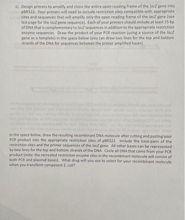 Solved 1) Design primers to amplify and clone the entire | Chegg.com