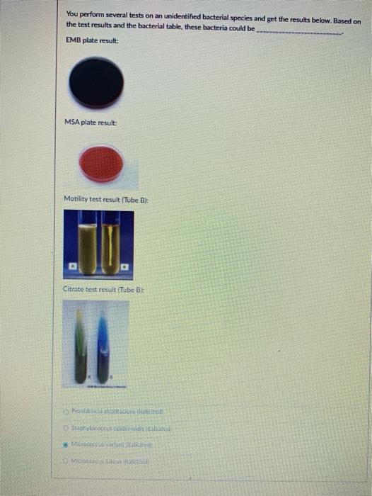 You perform several tests on an unidentified | Chegg.com