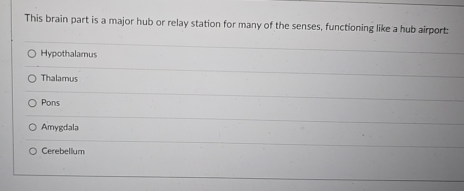 Solved This brain part is a major hub or relay station for | Chegg.com